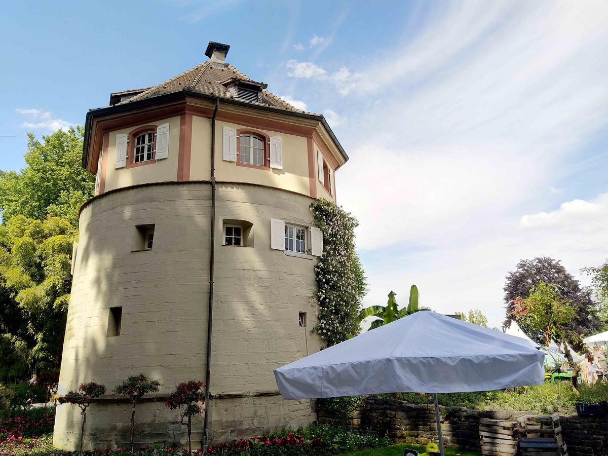 Facebook and WhatsApp: Take back control of your digital life and stay ...